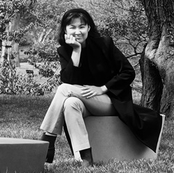 Maya Lin - collectingknoll.com